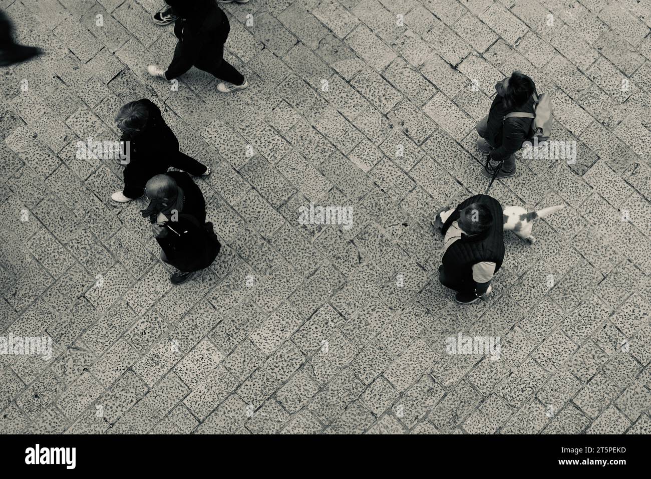 Top down view of man walking hi-res stock photography and images - Alamy