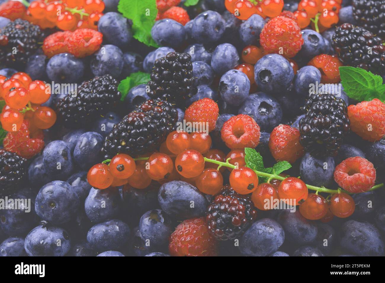 Blackberry, raspberry, blueberry, red currant and mint background Stock ...