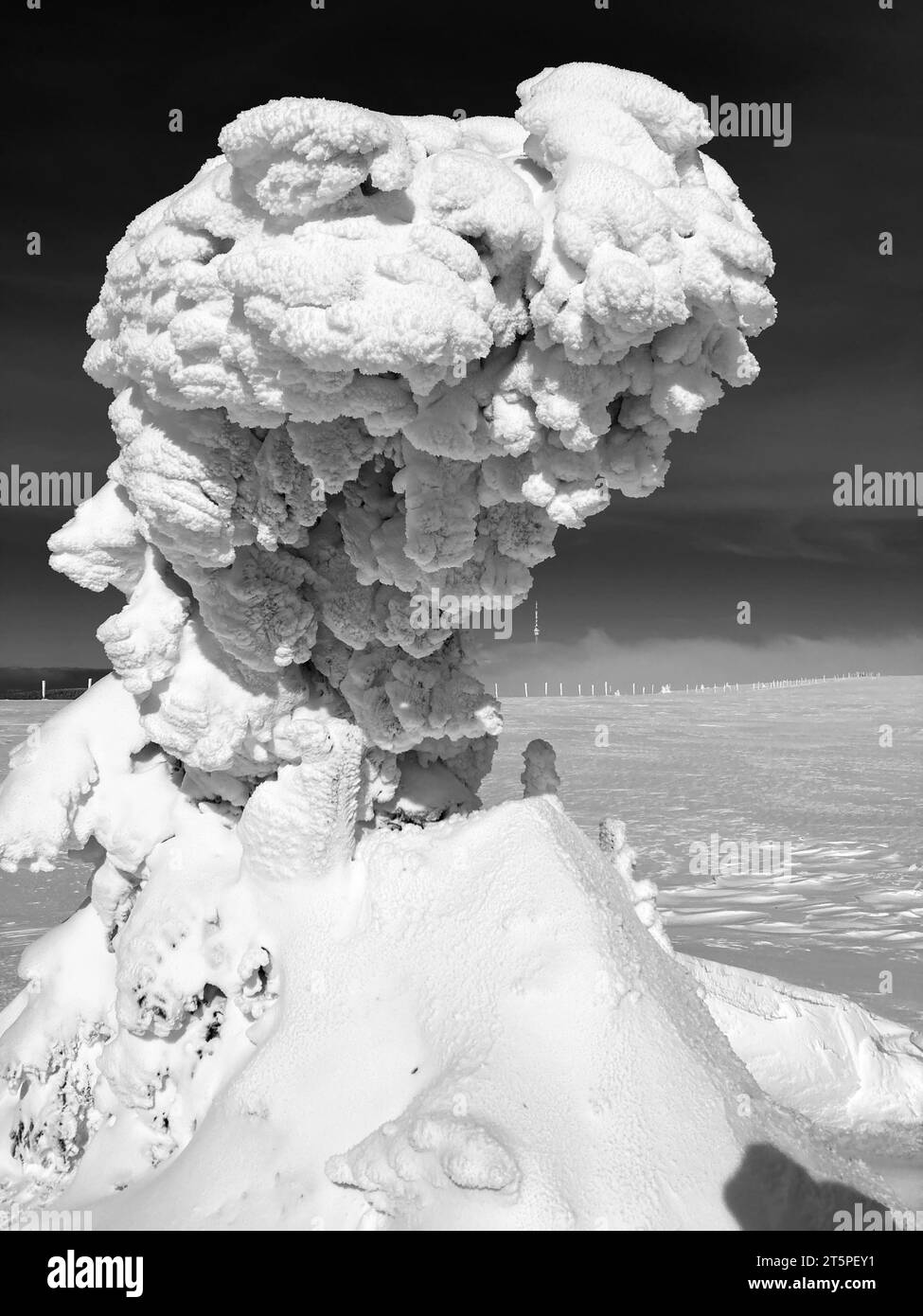 Frosted wonderland Black and White Stock Photos & Images - Alamy