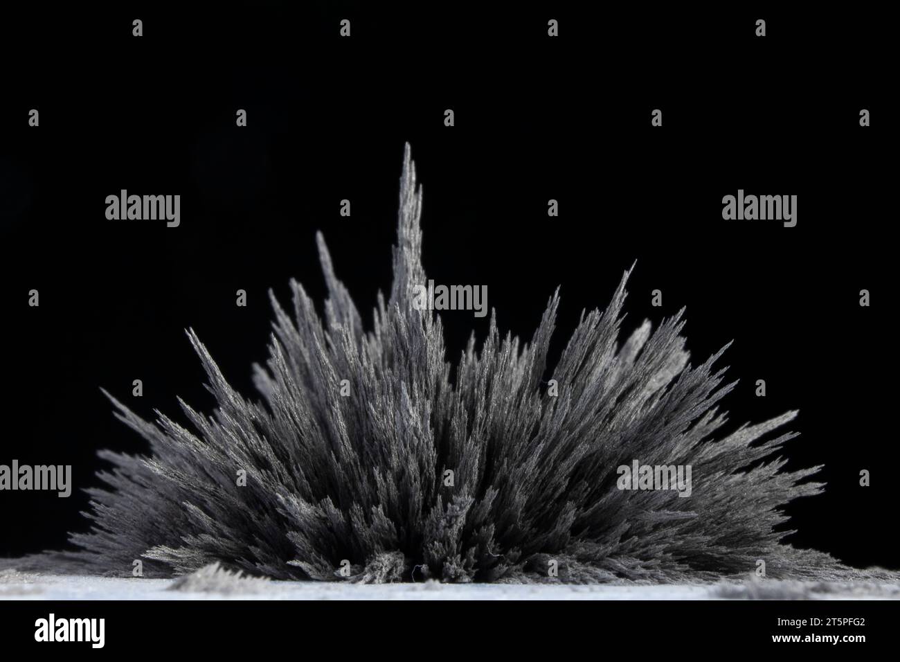 Reaction of iron dust to a strong magnet. Isolated. Visualisation of ...
