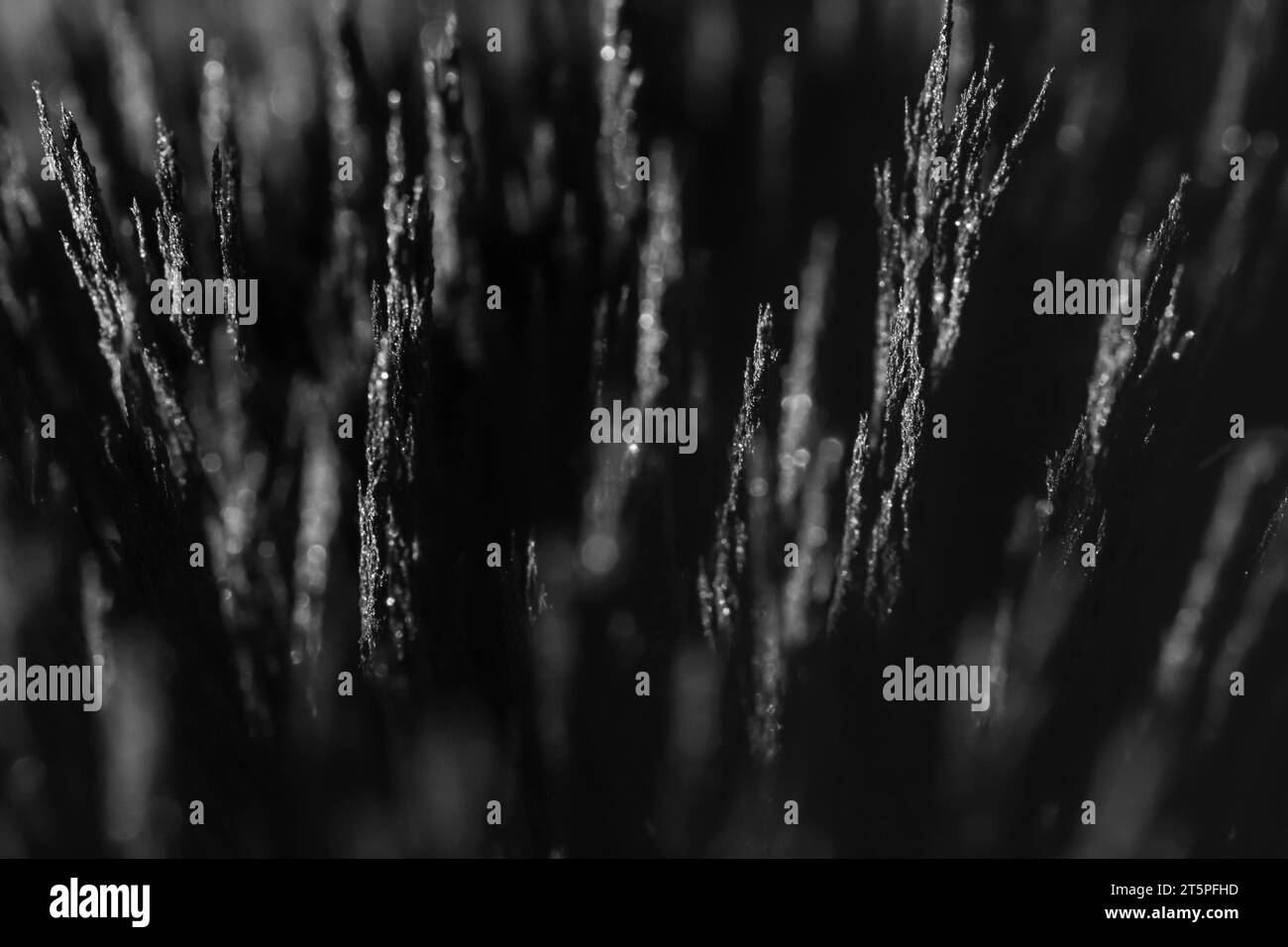 Reaction of iron dust to a strong magnet. Isolated. Visualisation of ...