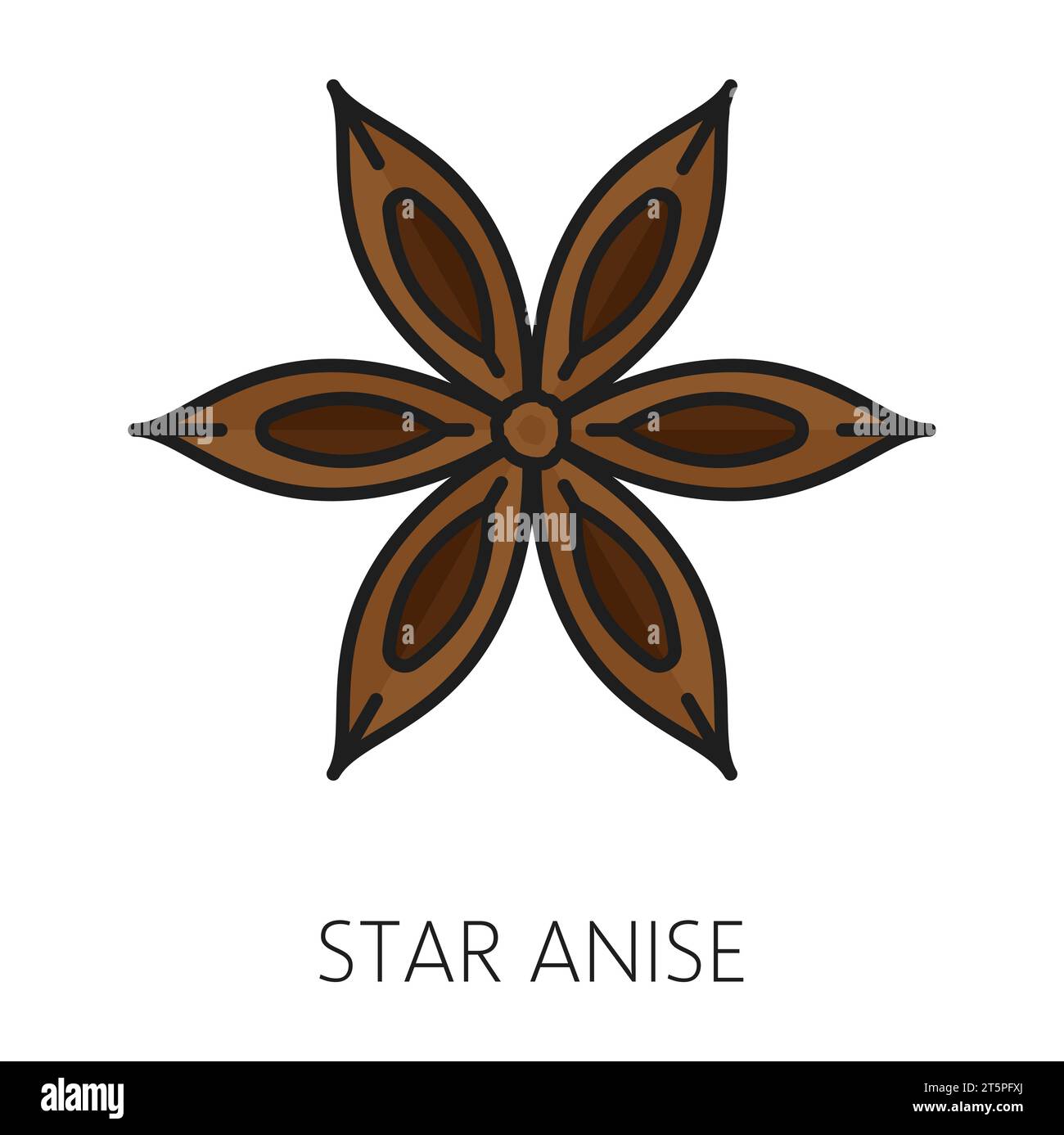 Star shaped spice Stock Vector Images - Alamy
