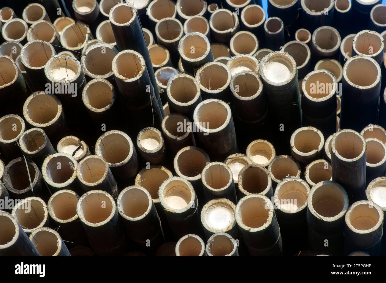 A pile of bamboo, pipe textures for natural background Stock Photo - Alamy
