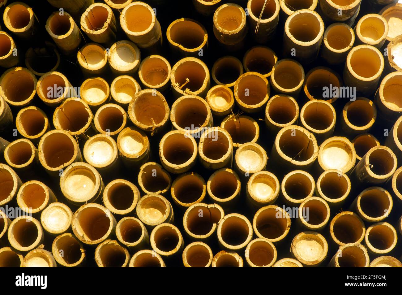A pile of bamboo, pipe textures for natural background Stock Photo - Alamy