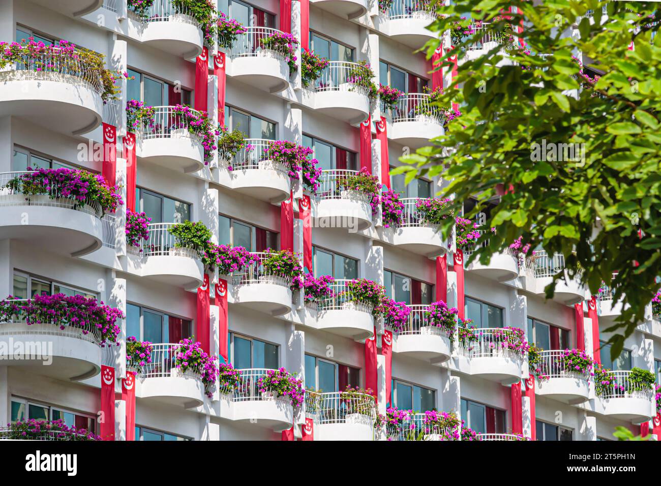 Image of geometric symetric high rise facade with glass windows during ...