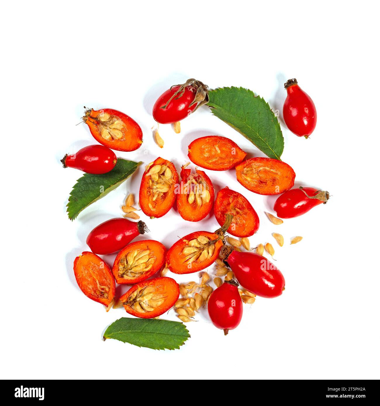 Rose hips harvest Cut Out Stock Images & Pictures - Alamy