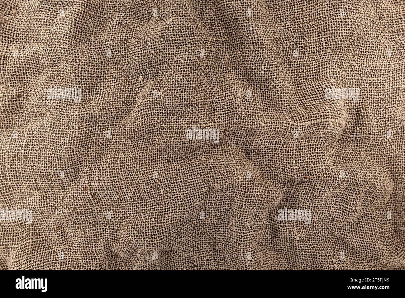 Burlap texture. A piece of torn burlap on a white background. Canvas ...