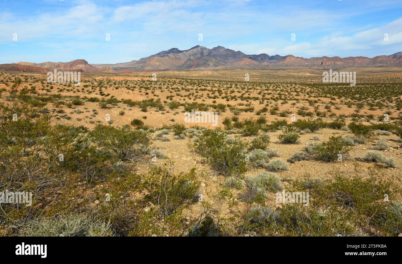 View at Bowl of Fire, Valley of Fire State Park, Nevada Stock Photo - Alamy
