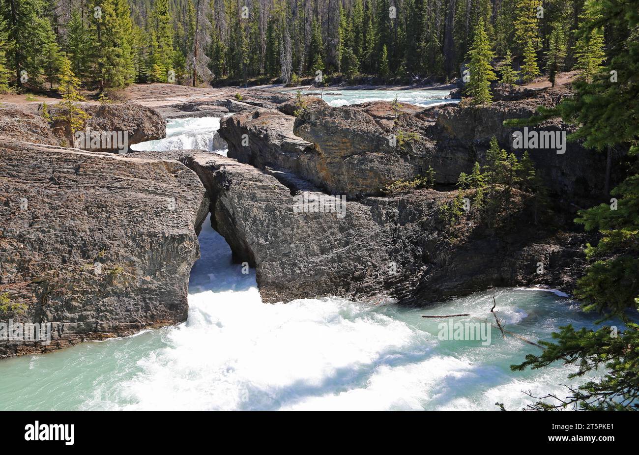 Yoho natural bridge hi-res stock photography and images - Alamy