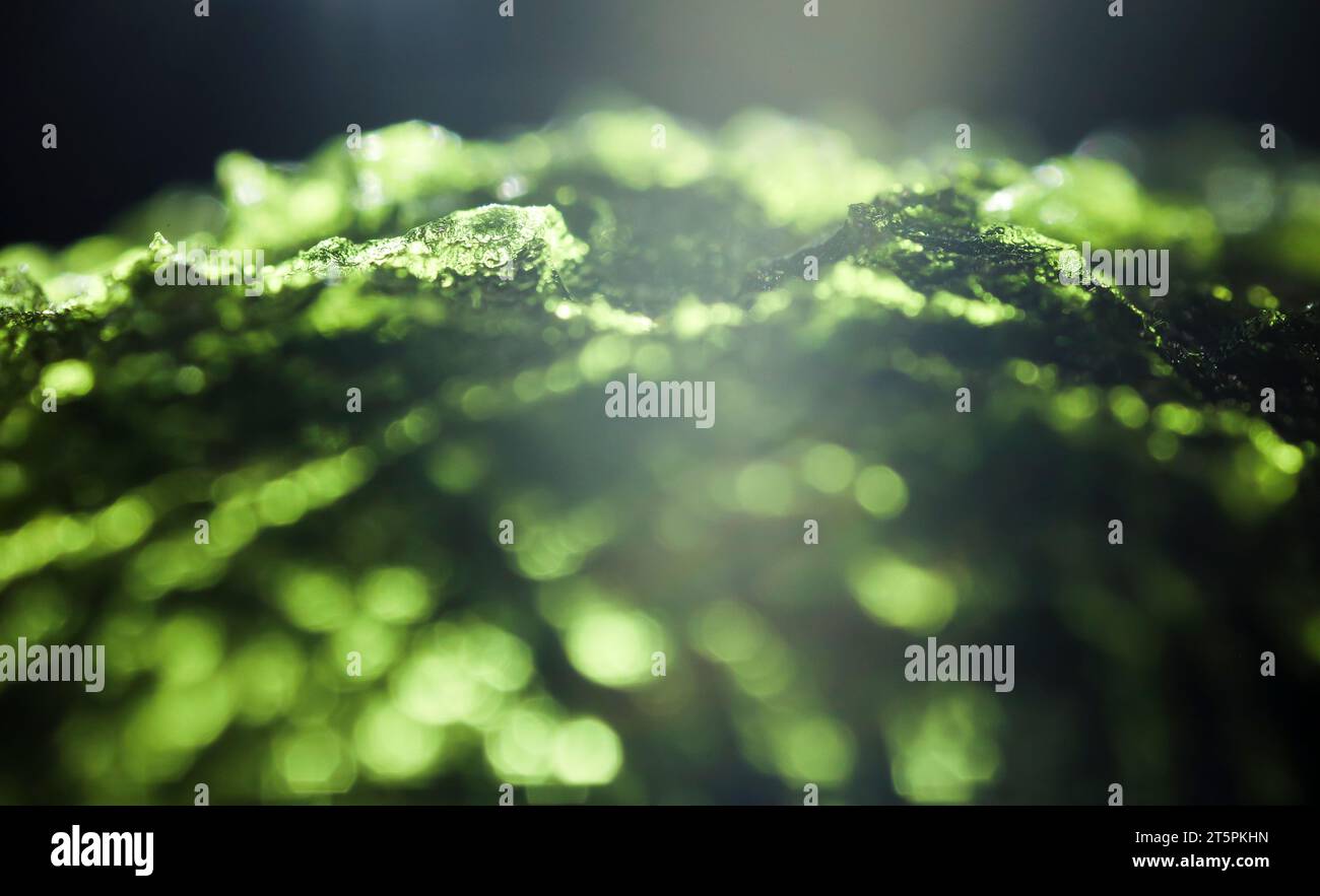 Green glass texture. Moldavite tektite gemstone close up. Lens flare ...