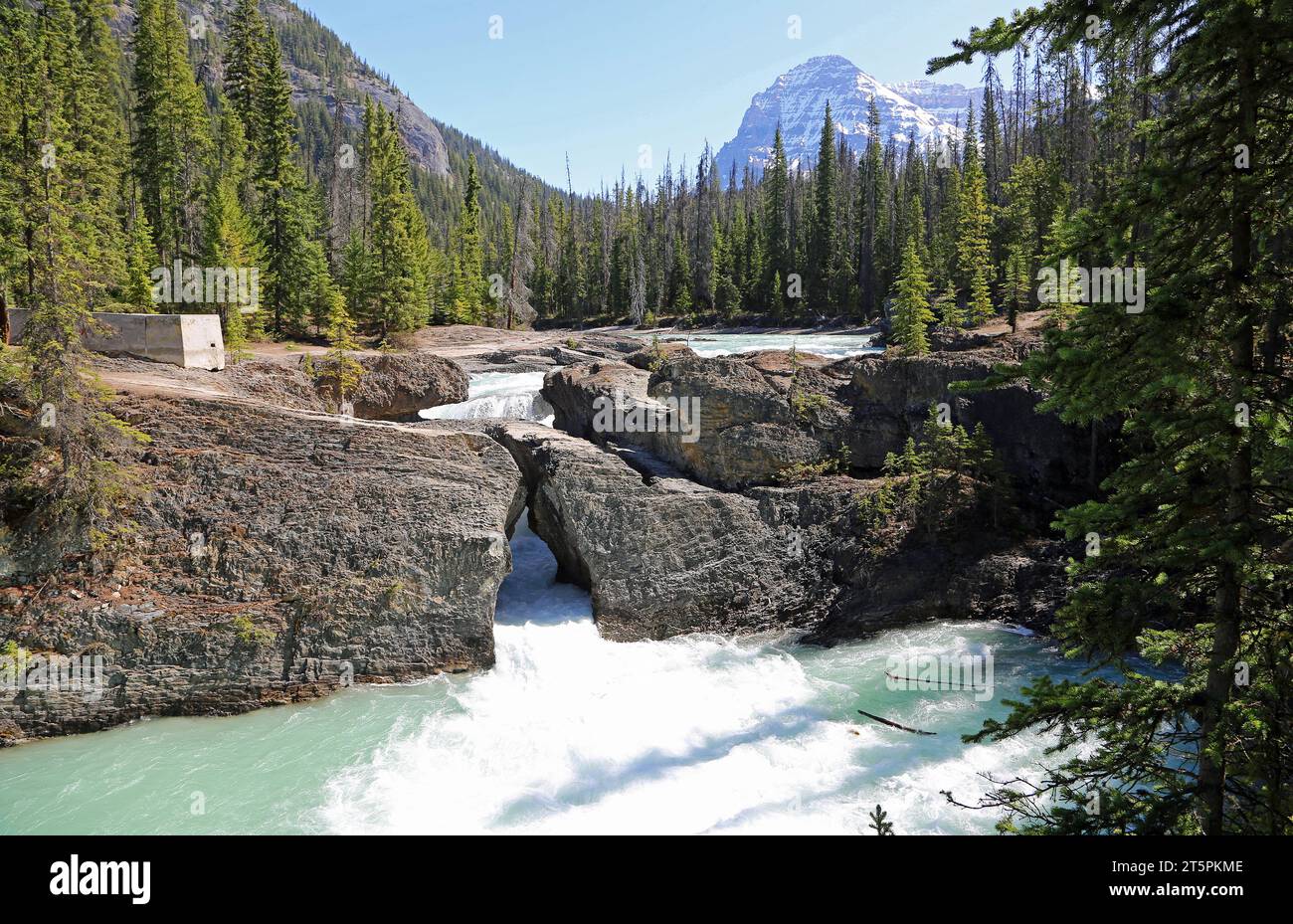 Yoho natural bridge hi-res stock photography and images - Alamy