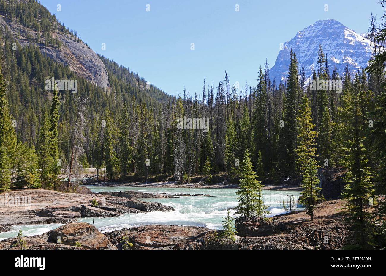 Mt Stephen and Kicking Horse River, Yoho NP, Canada Stock Photo - Alamy