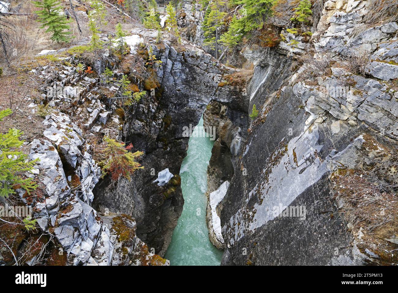 The cliffs of Marble Canyon, Canada Stock Photo - Alamy