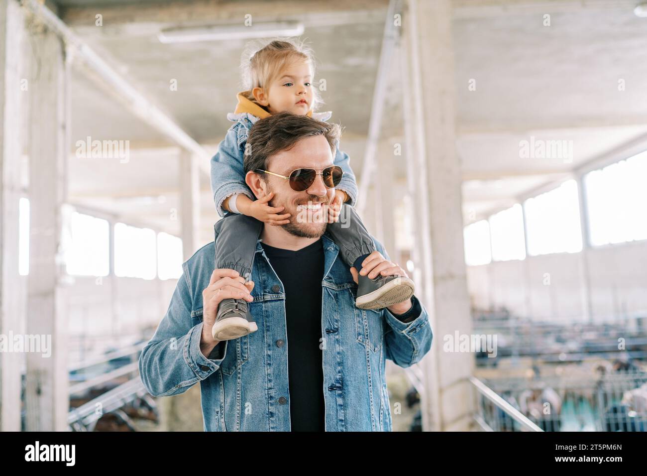 Smiling dad with a little girl on his shoulders walks around the farm and looks at the goats ...