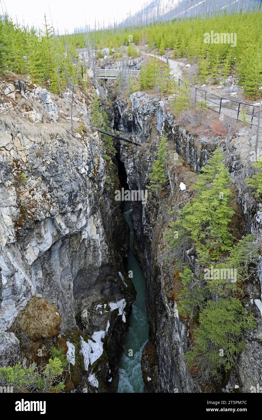 The trail over Marble Canyon, Canada Stock Photo - Alamy