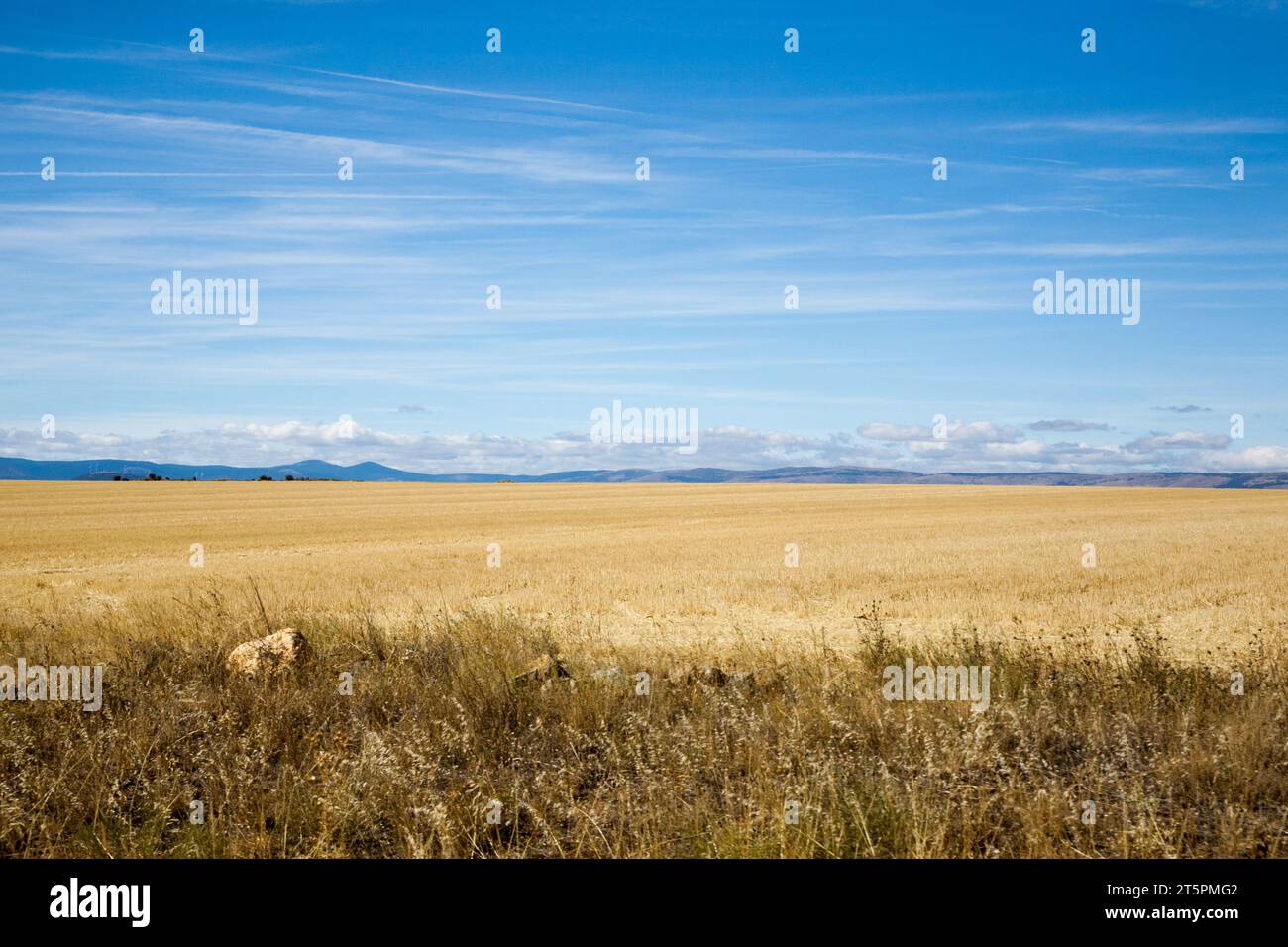 Castile and Leon region rural landscape, Spain. Spanish fields panorama ...