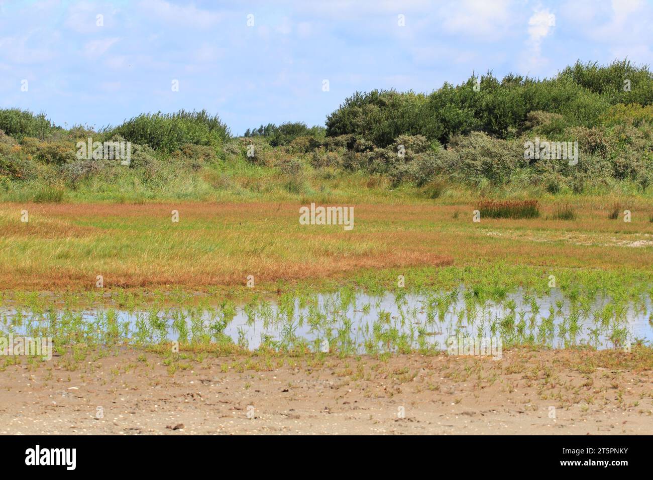 A natural landscape on the North Sea coast in the Netherlands Stock ...