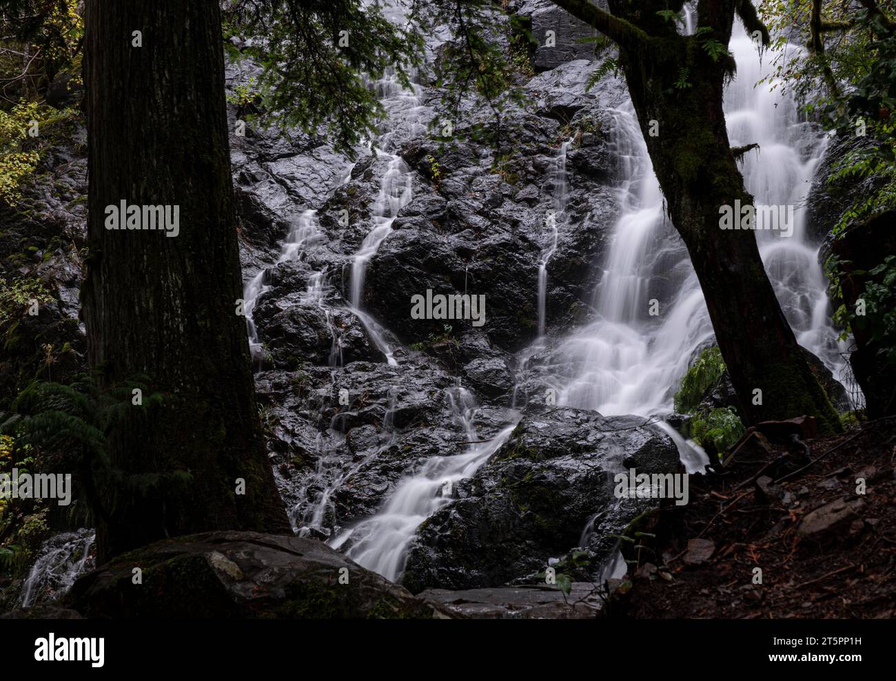 Mary vine creek hi-res stock photography and images - Alamy