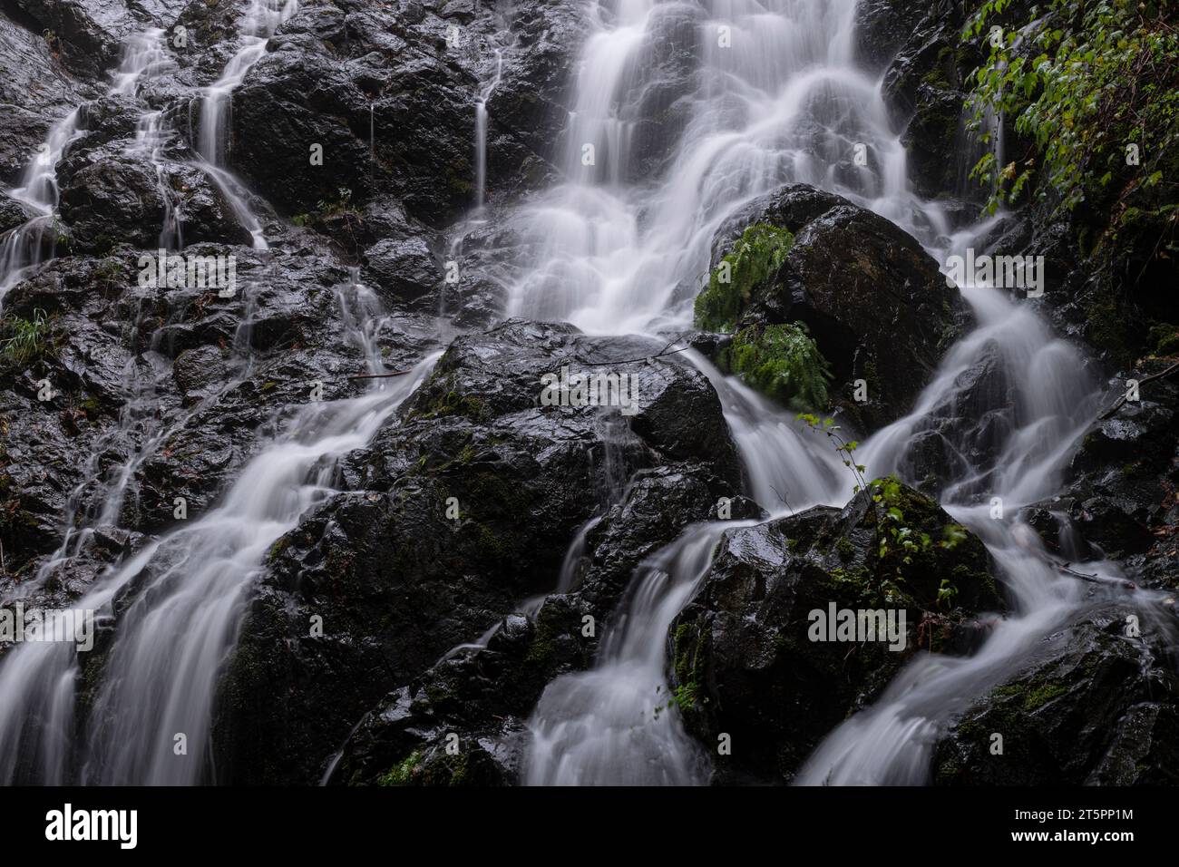 Mary Vine Creek Waterfall in Sooke Potholes Provincial Park in British ...