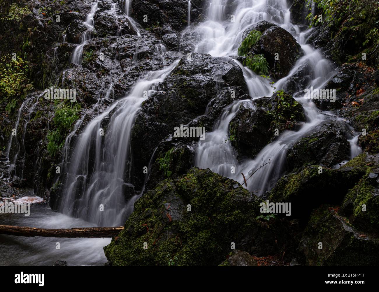Mary vine creek hi-res stock photography and images - Alamy