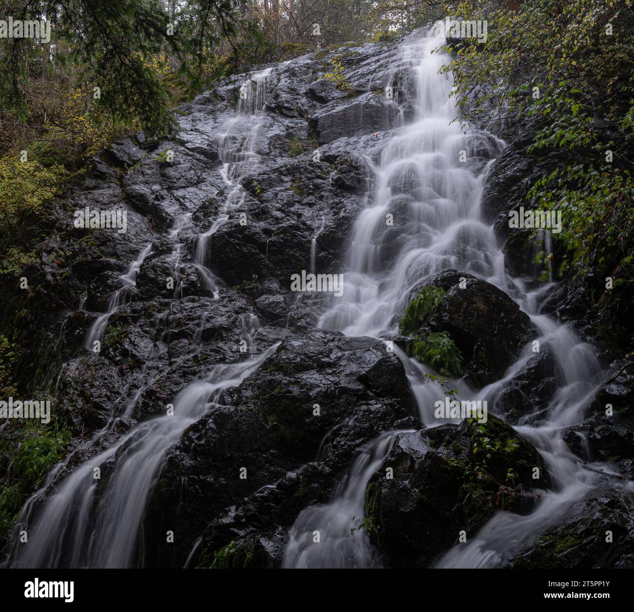 Mary vine creek hi-res stock photography and images - Alamy