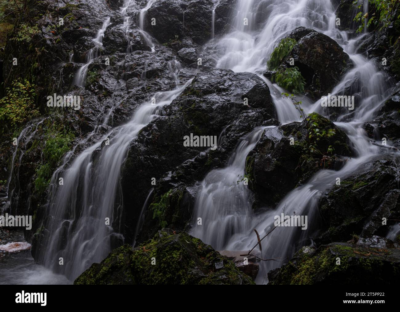 Mary Vine Creek Waterfall in Sooke Potholes Provincial Park in British ...