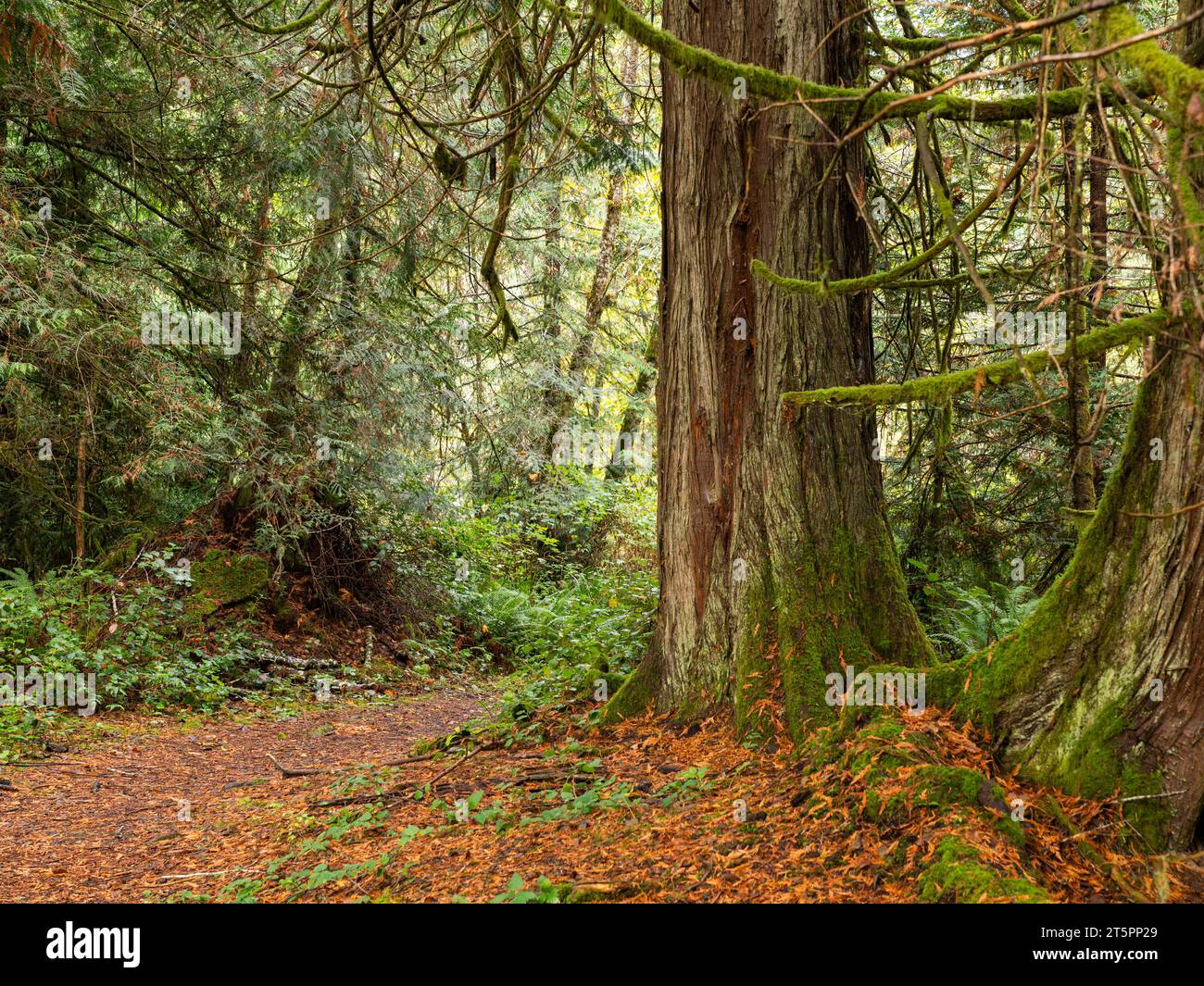 Roche cove regional park hi-res stock photography and images - Alamy