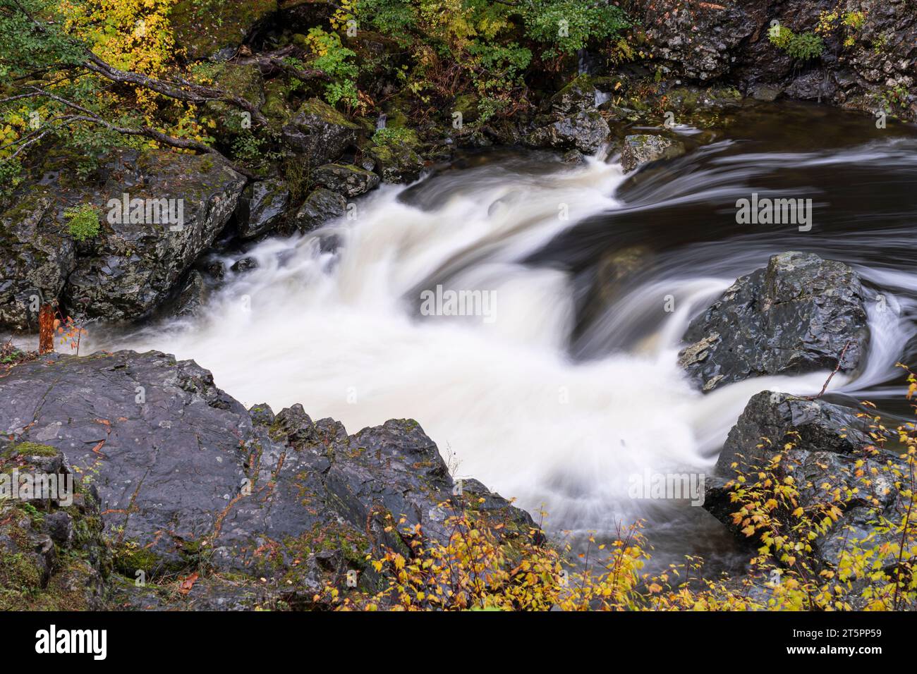 British columbia canada sooke hi-res stock photography and images - Alamy