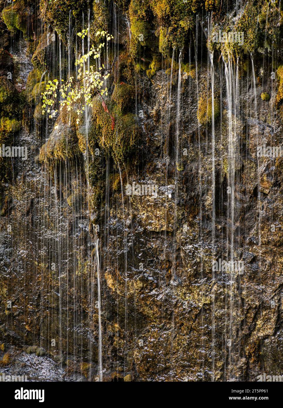 Water dripping down a rock face in Sooke Potholes Provincial Park in ...