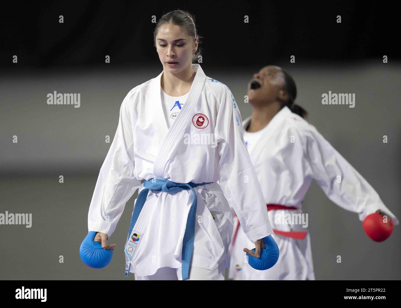 Santiago, Chile. 05th Nov, 2023. November 5, 2023, Santiago, Chile ...