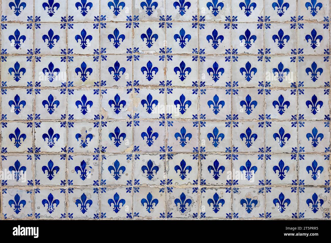 Ancient tiles with lotus flower pattern, symbol of France Stock Photo ...
