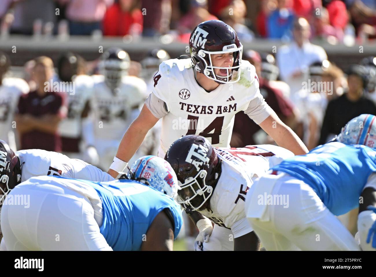 Texas A&M quarterback Max Johnson (14) prepares for a play during the ...