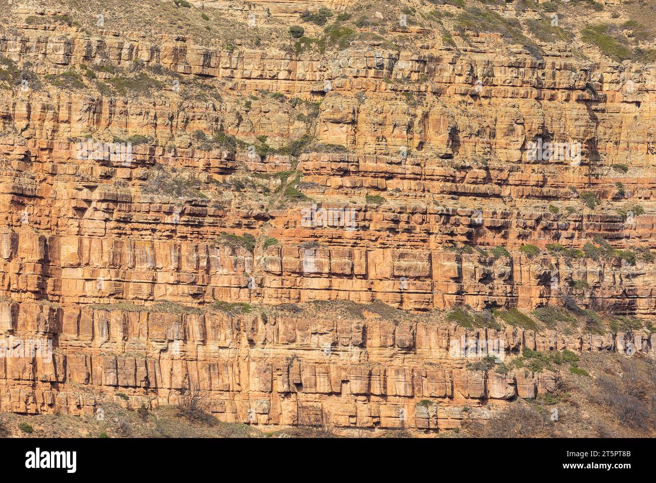 Layered structure hi-res stock photography and images - Alamy