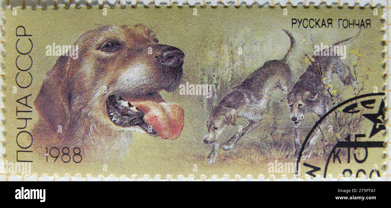 ISTANBUL, TURKEY - JANUARY 03, 2021: Soviet Union stamp shows Hunting ...