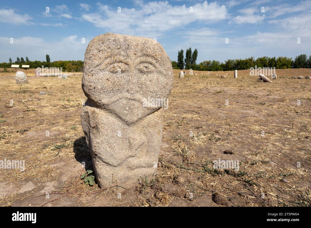 Balbal tombstones in Burana, Kyrgyzstan Stock Photo - Alamy