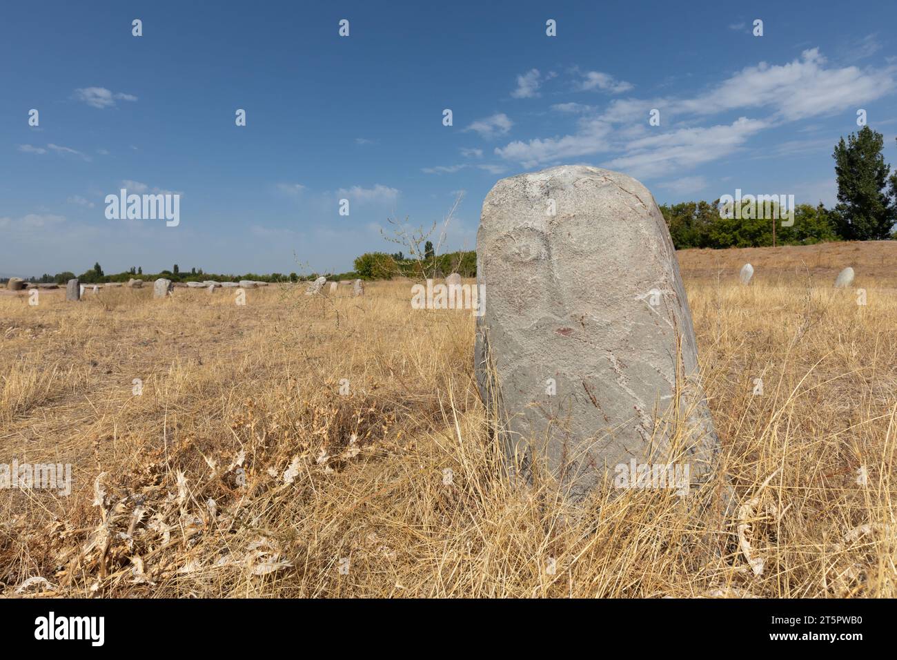 Balbal tombstones in Burana, Kyrgyzstan Stock Photo - Alamy
