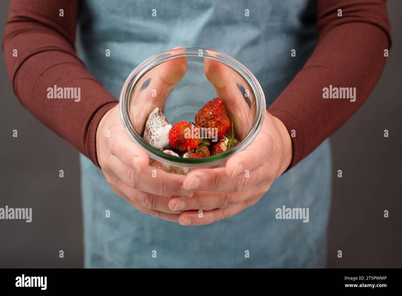 Moldy strawberry fruits with spot fungus in a jar, rotten strawberries ...