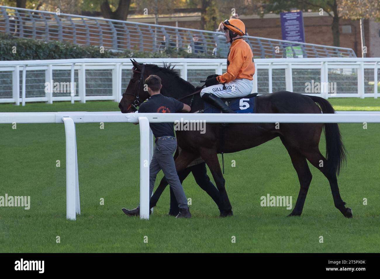 Jane williams trainer hi-res stock photography and images - Alamy