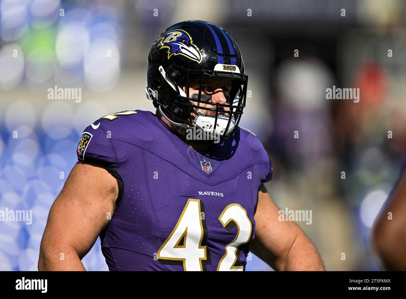 Baltimore Ravens fullback Patrick Ricard (42) looks on during pre-game ...