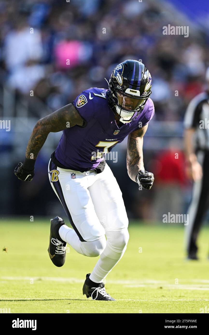 Baltimore Ravens wide receiver Rashod Bateman (7) in action during the ...