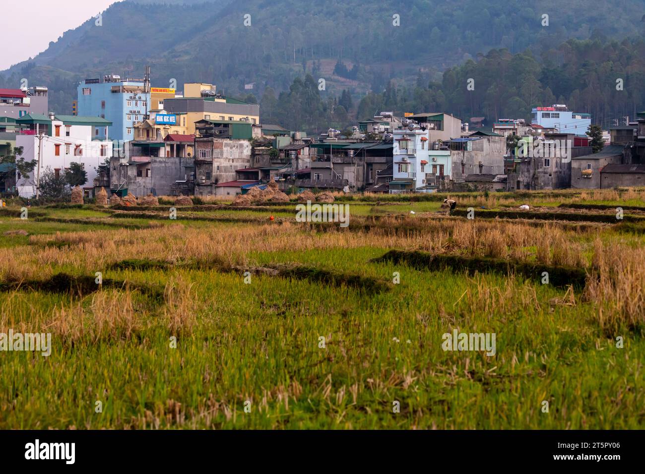 The City of Dong Van in Vietnam Stock Photo - Alamy