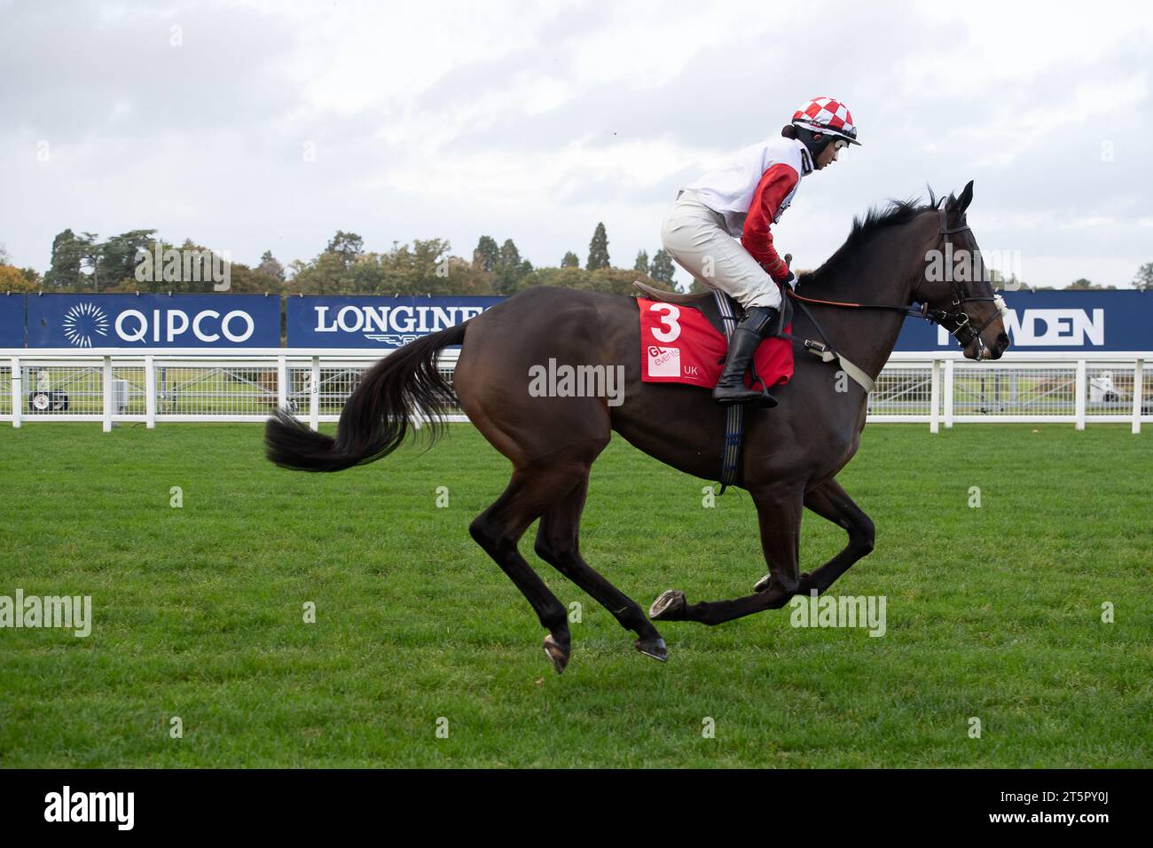 Wemyss family hi-res stock photography and images - Alamy