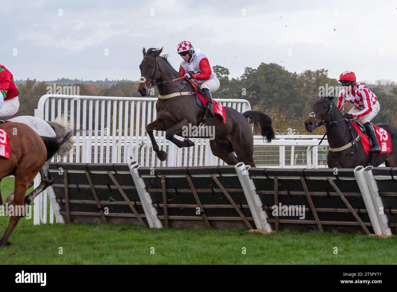 Wemyss family hi-res stock photography and images - Alamy