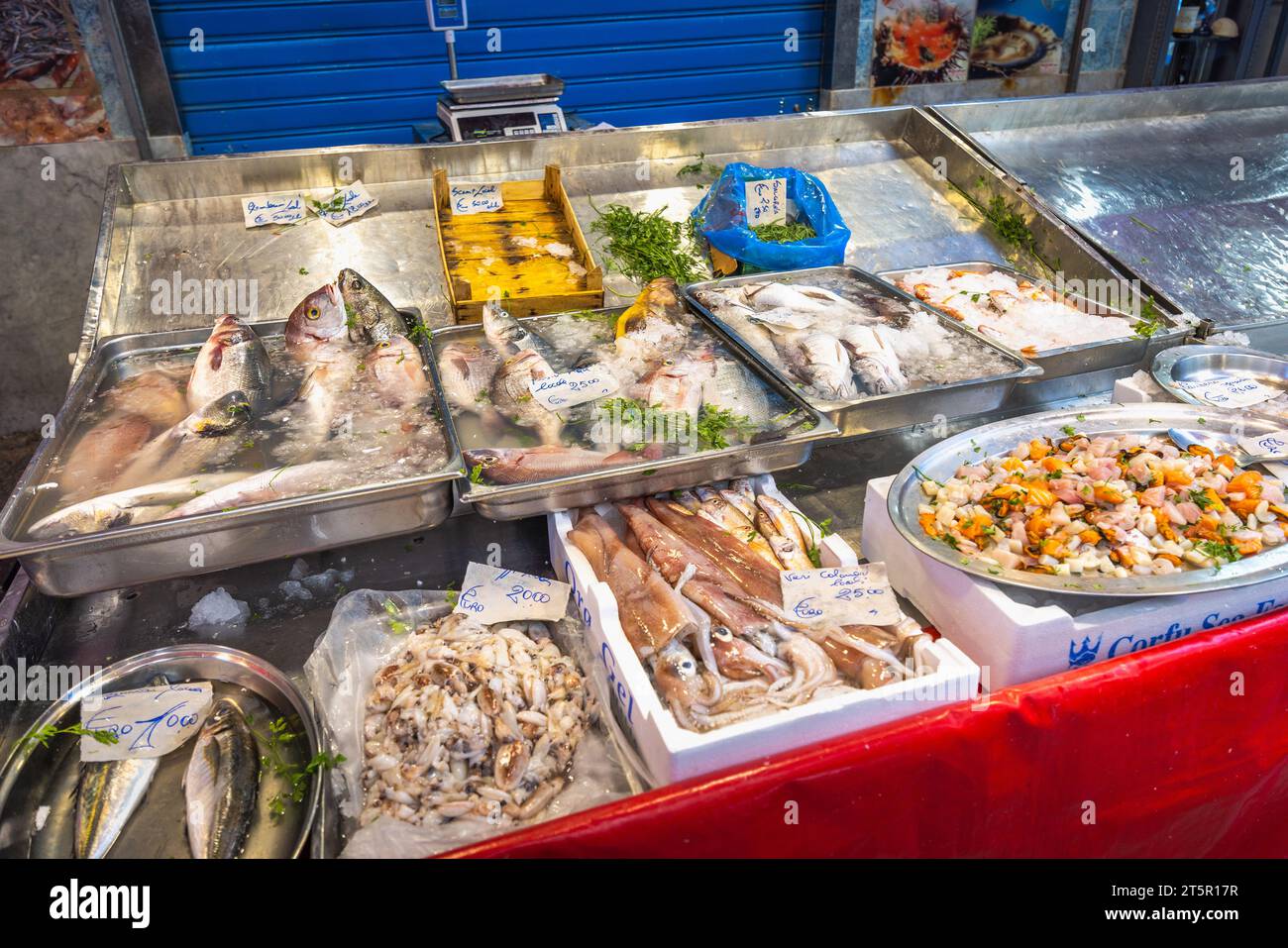 18 fish hi-res stock photography and images - Alamy