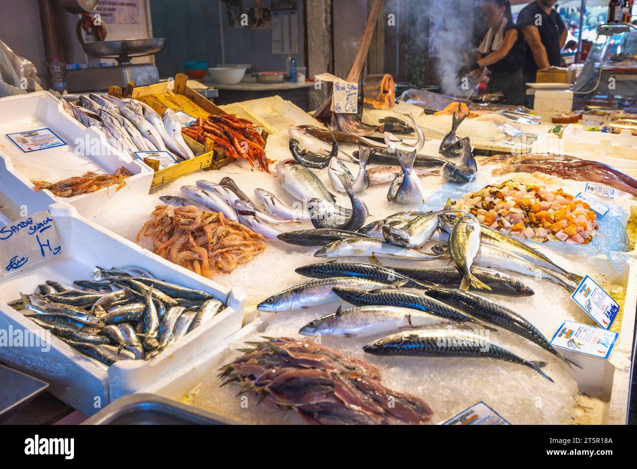 18 fish hi-res stock photography and images - Alamy