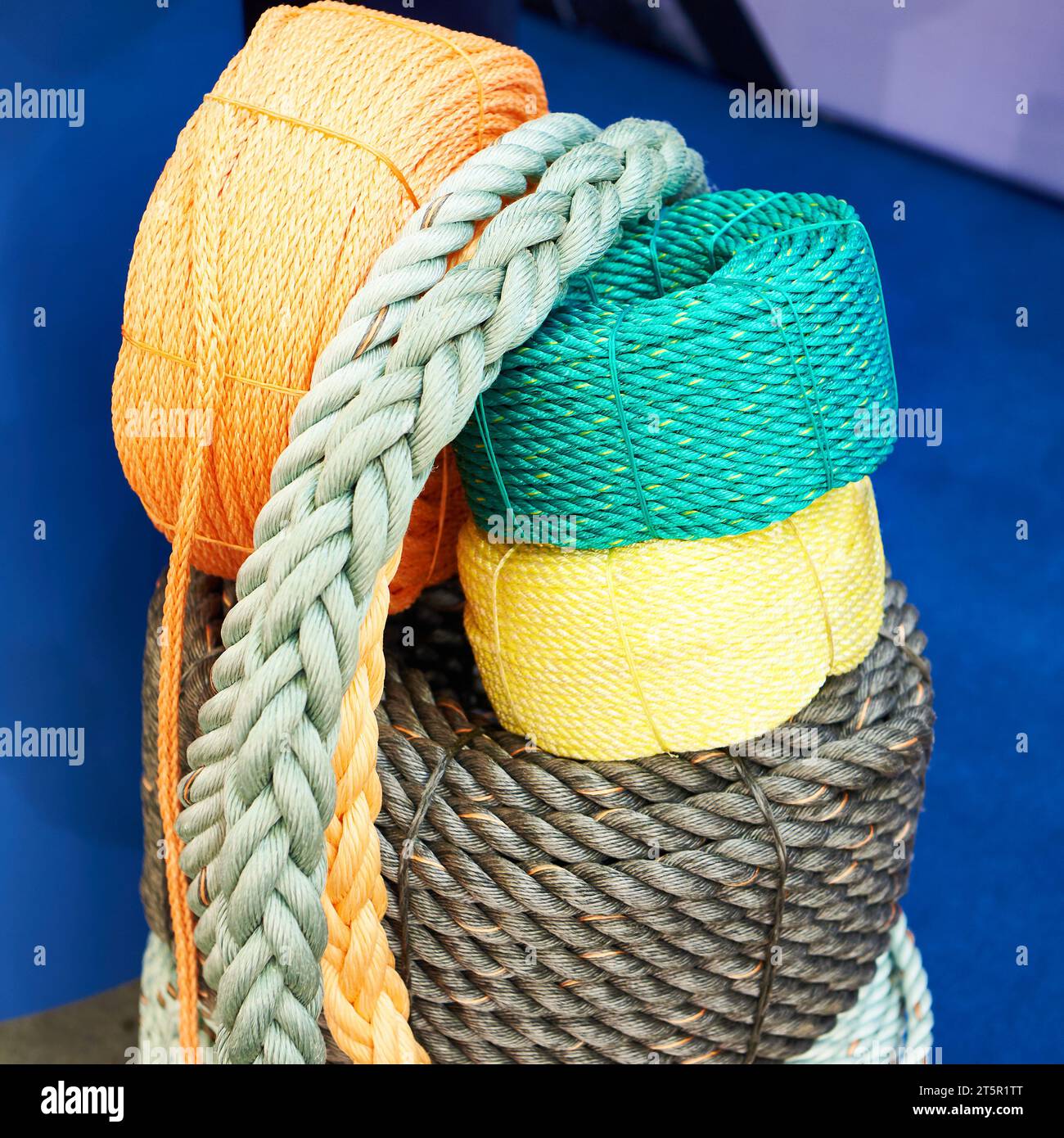 Fishing ropes in the shop Stock Photo - Alamy