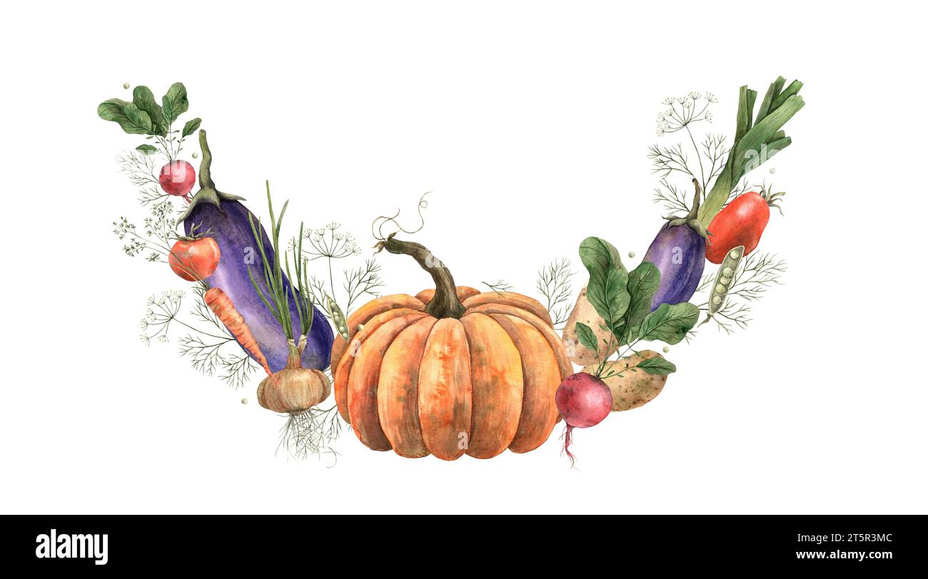Watercolor wreath of vegetables: pumpkin, radish, tomato, eggplant ...