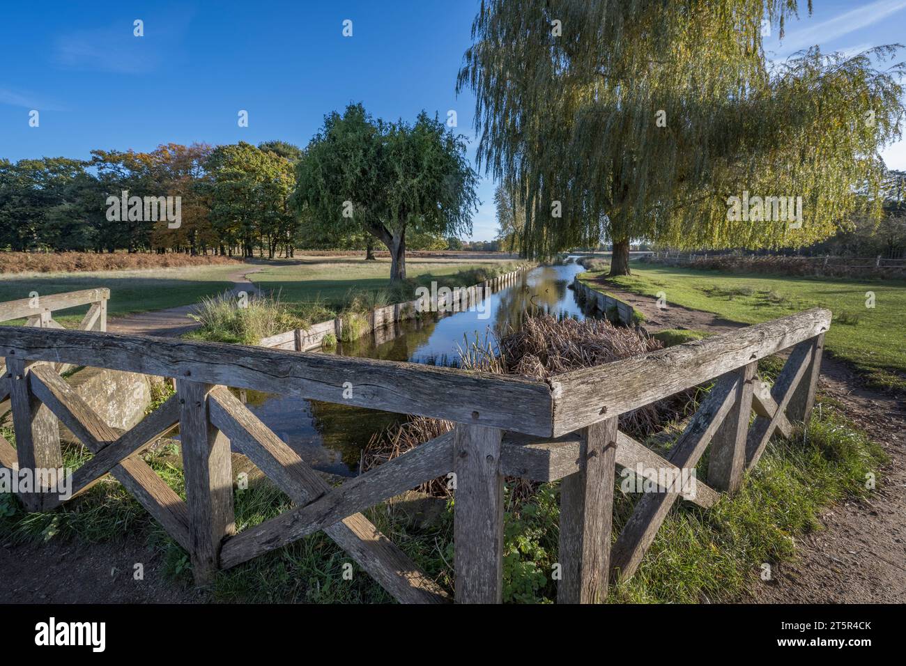 Stream view from wooden bridge leading to leg of Mutton pond Bushy Park ...