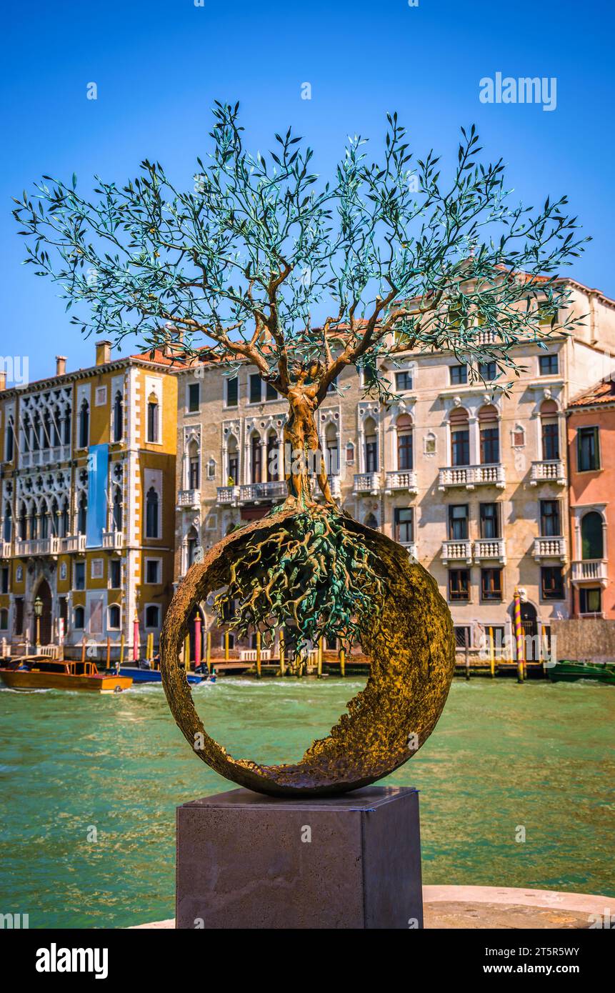 Olive tree installation on Venice street, Italy Stock Photo - Alamy