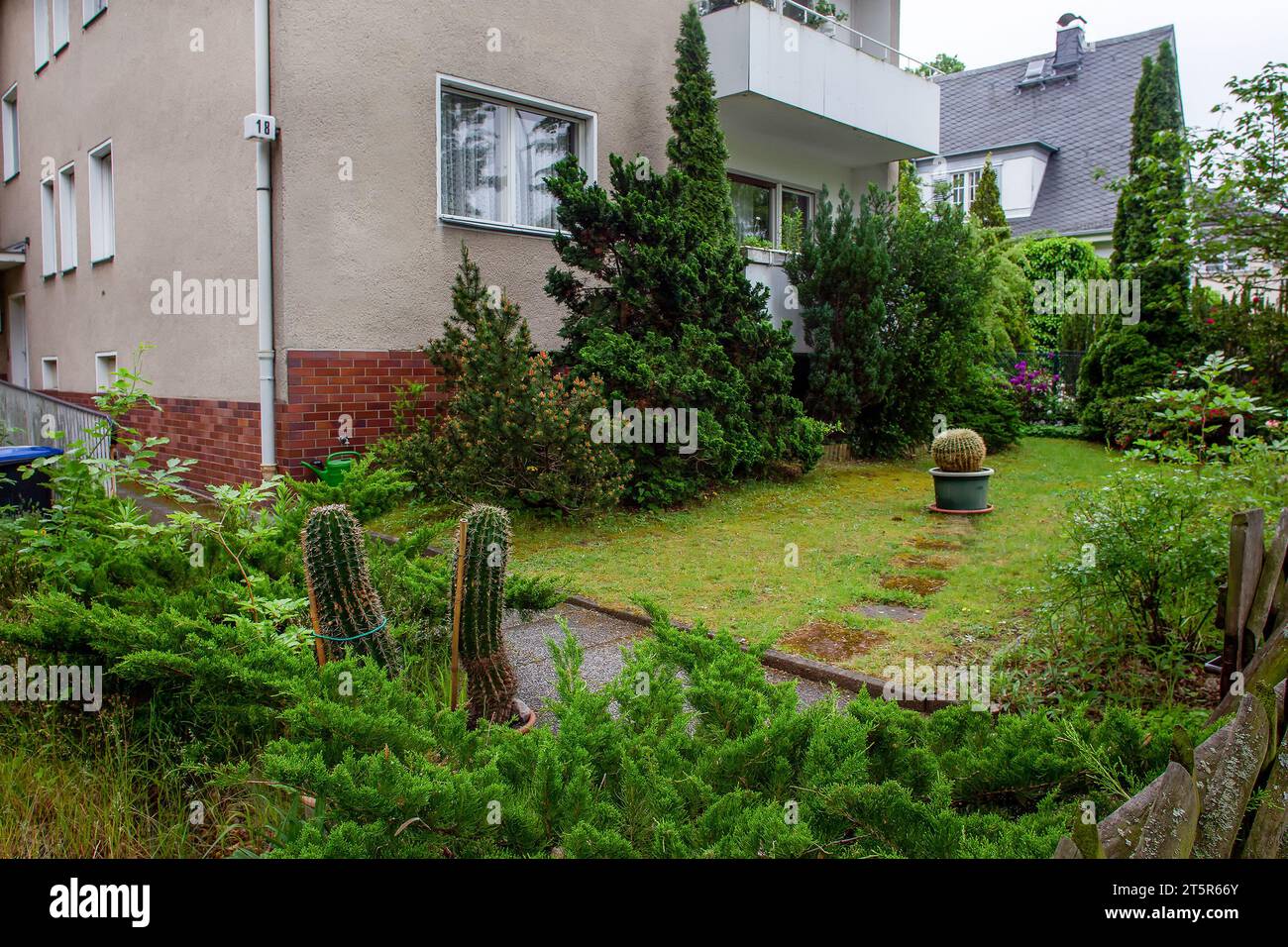 Amazing gardens of Juniper trees (bushes) next to residential building ...